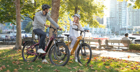 Voltbike Trio vs ENVO Flex Electric Trike: Detailed Review