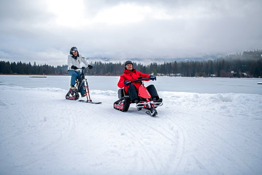 Comparison of Ebgo CC60 and ENVO D35: Which Electric Bicycle is The Be