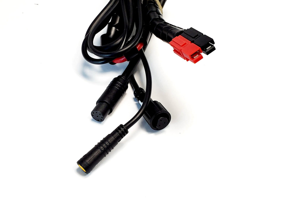 Bafang Controller for 1000W Mid Drive Electric Bike